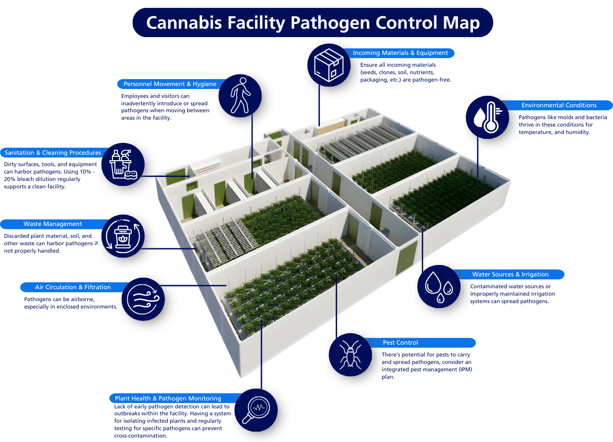 Cannabis Pathogen Control Program | Facility Assessment Service | TUMI